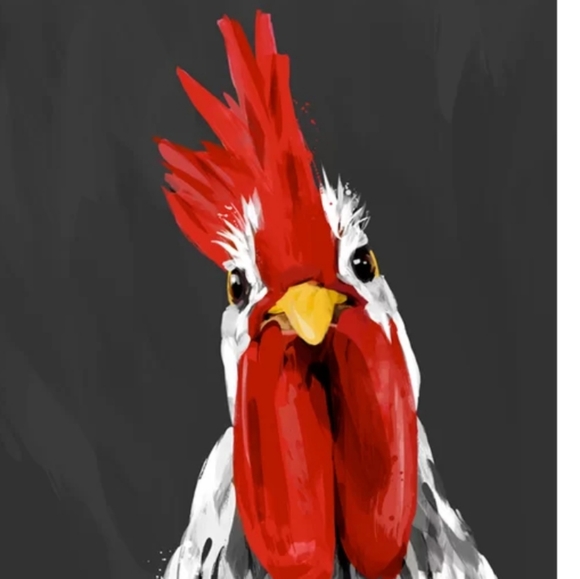 Wall Decor | Farm House Chicken Rooster 8x1 Black Fram Picture | Poshmark